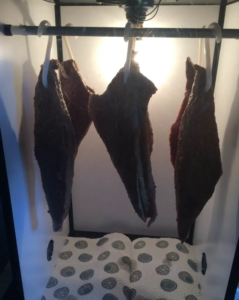 Traditional Biltong - The DIY Life