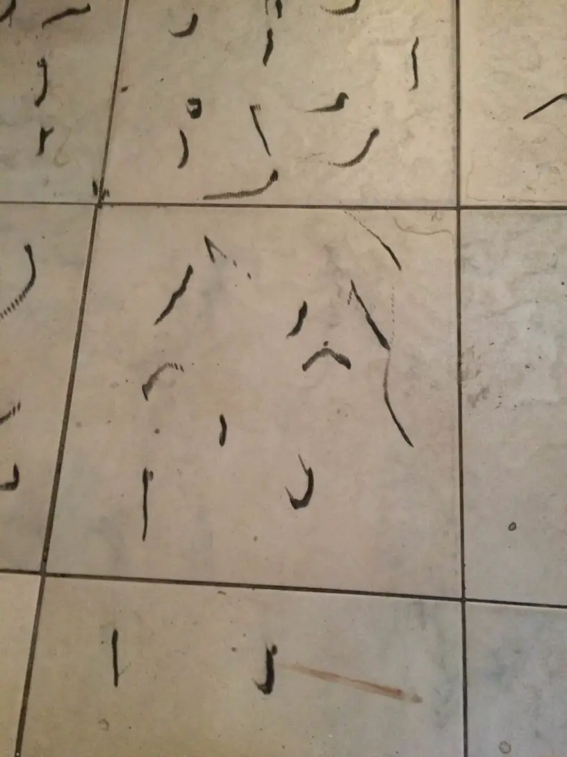 Tiling Over Existing Tiles, All You Need To Know - The DIY Life