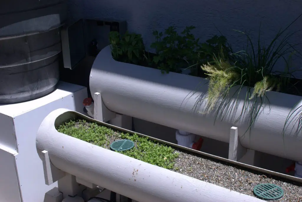 Get Started Growing Hydroponic Veggies - The DIY Life