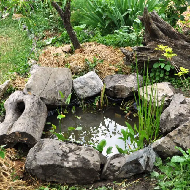 tyre pond - The DIY Life