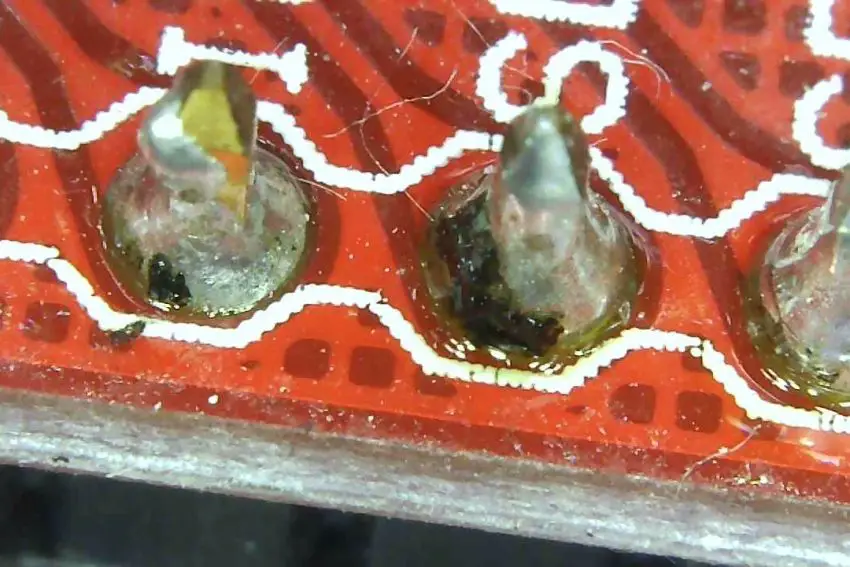 Skybasic Wireless Digital Microscope Review - The DIY Life