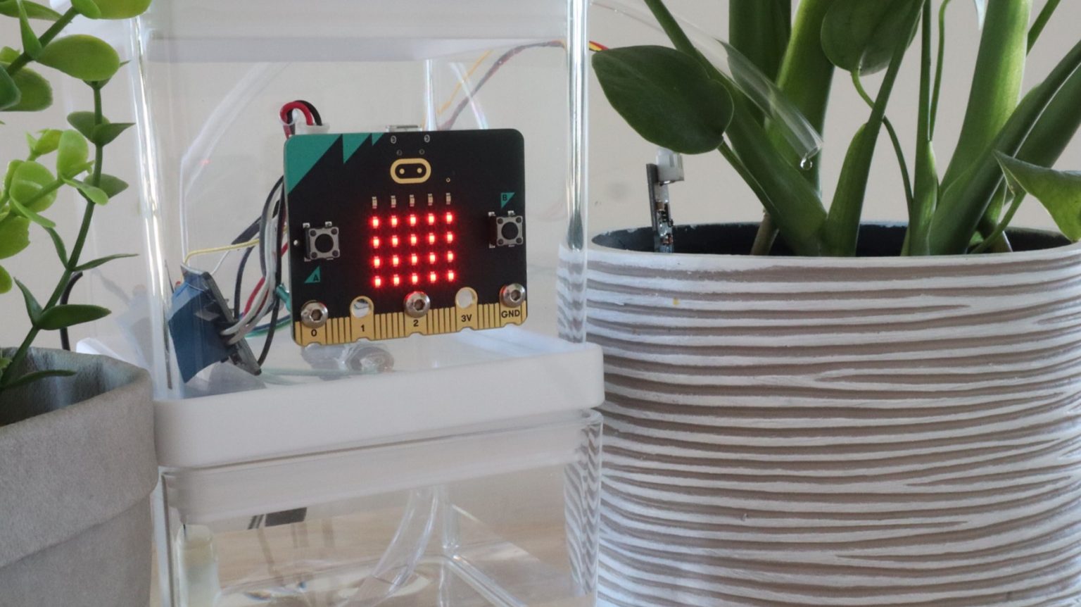 Micro:bit Automatic Plant Watering System | The DIY Life