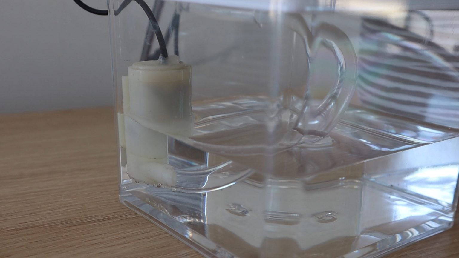 Micro:bit Automatic Plant Watering System - The DIY Life