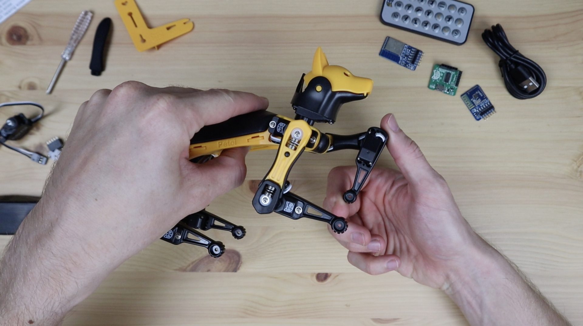 Meet Bittle, an Advanced Open-Source Robot Dog by Petoi - The DIY Life