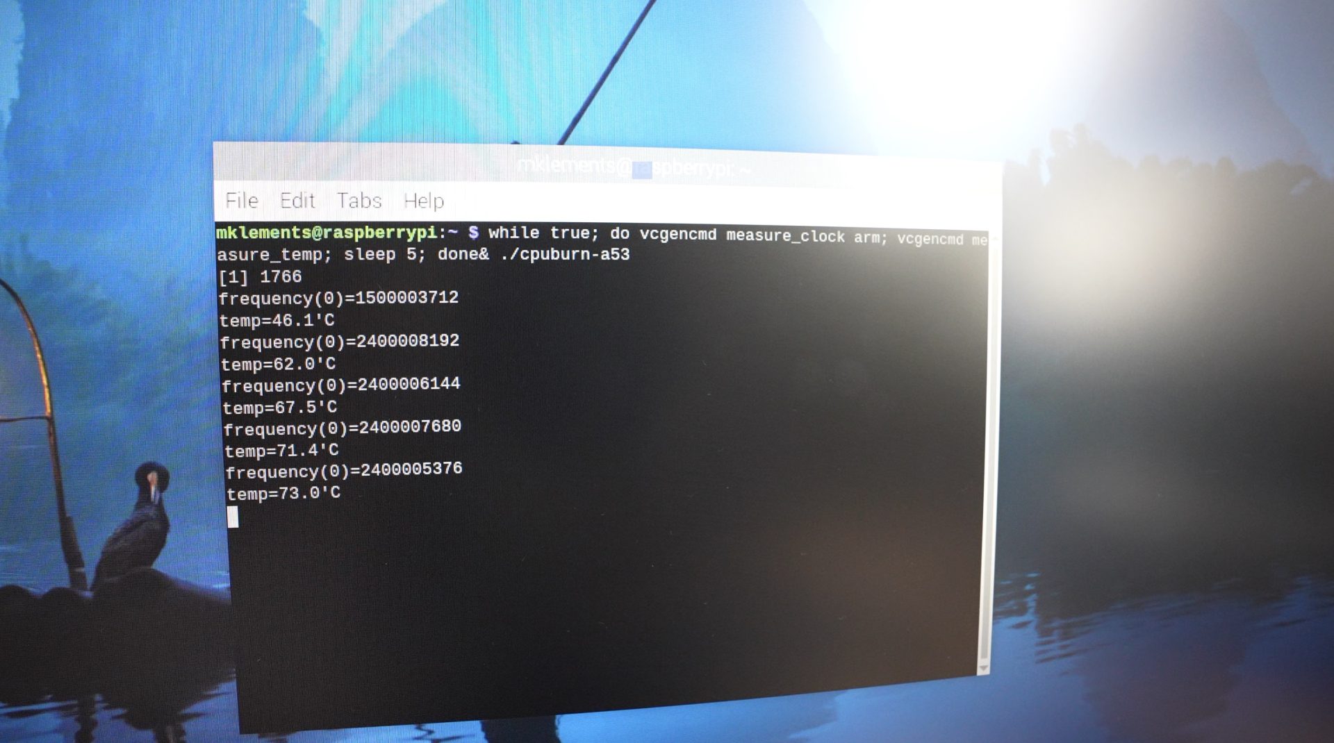 Is It Worth Water Cooling A Raspberry Pi 5? - The DIY Life